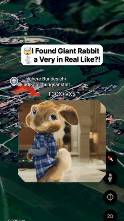 🤯I Found Giant Rabbit 🐇 a Very in Real Like?! on Google maps on Google ...