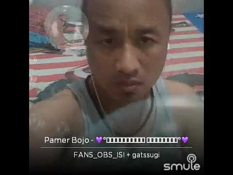 Pamer Bojo - Smule