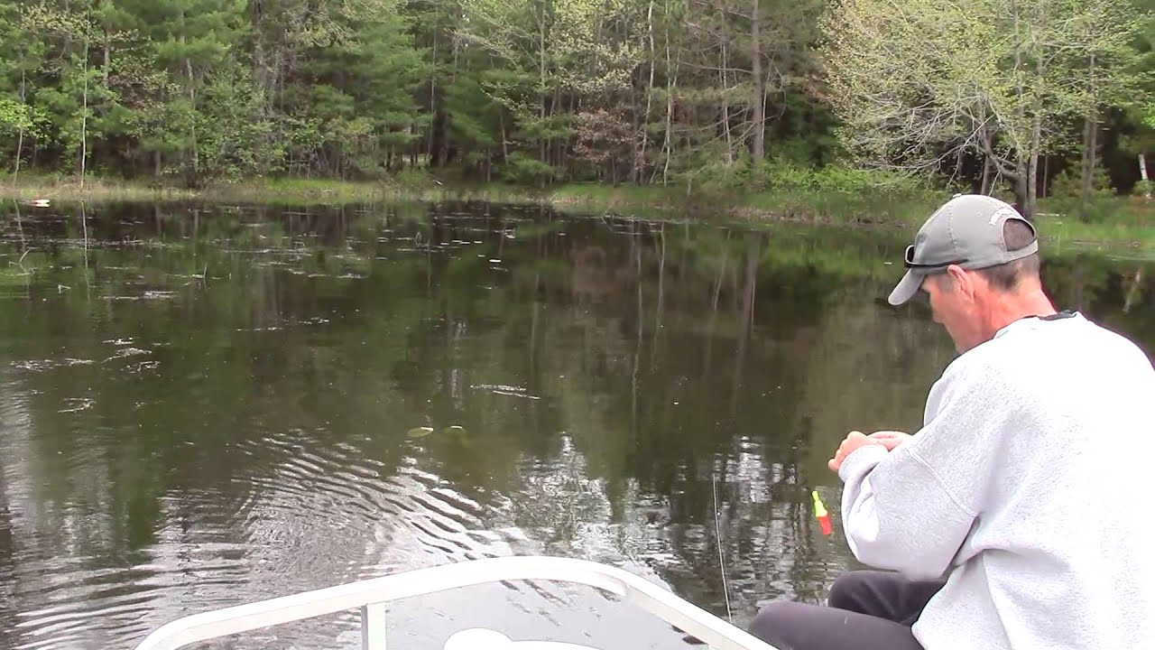 Pan Fishing Tips - Springtime Panfish by Rocket Bobber. - YouTube