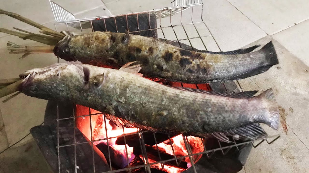 Roast head snake fish with salt and vegetable with fish source - YouTube