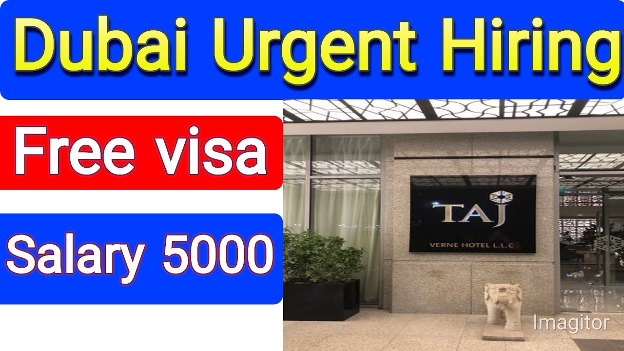 Dubai Taj Hotel jobs / Urgent Hiring - YouTube