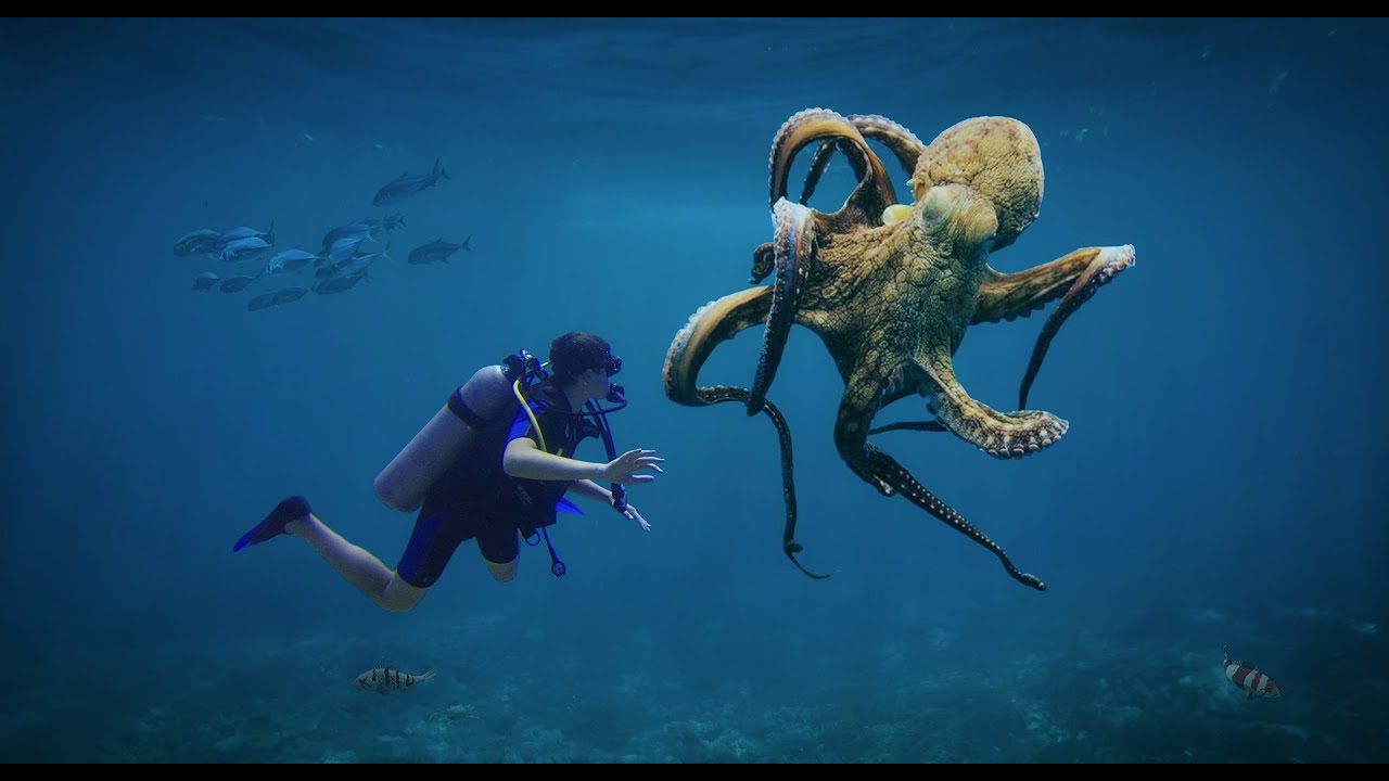 Dein Herz ist wie ein Oktopus - Ashes to Glory #1 (P. Georg Rota LC ...