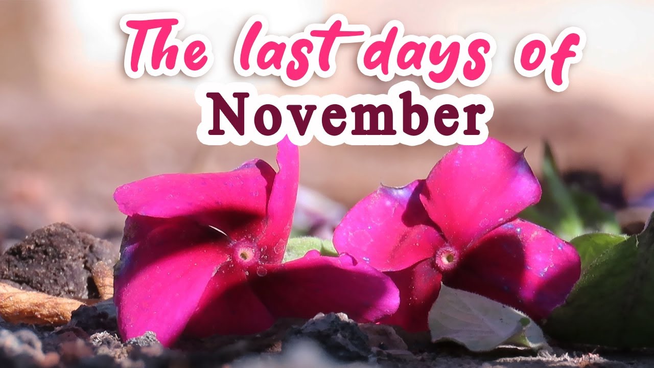 The last days of November - YouTube