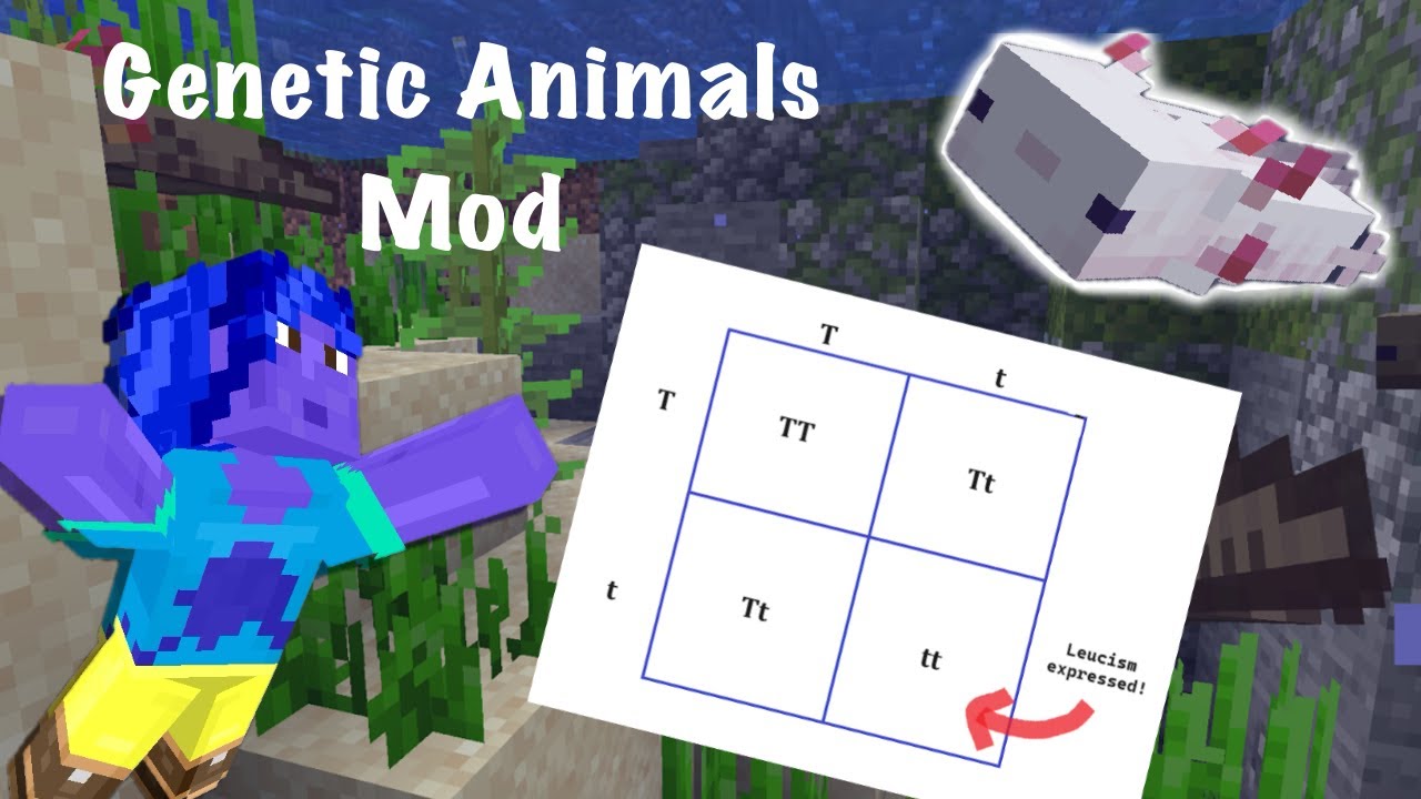 Genetics & Minecraft: It's Axolotl time! - YouTube