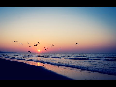 Edip Akbayram ve Ferhat göçer Leylim ley