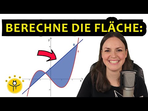 FLÄCHE zwischen 2 Funktionen berechnen – 3 Schnittpunkte Flächenberechnung Integral