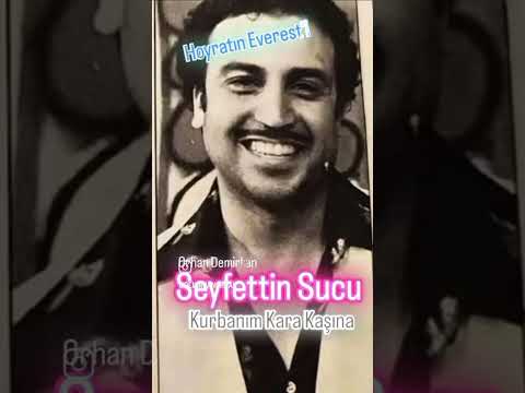 Seyfettin Sucu - Kurbanam Kara Kaşına- Hoyrat #keşfet #müzik #muzikmania #türküler #türkü #urfa 