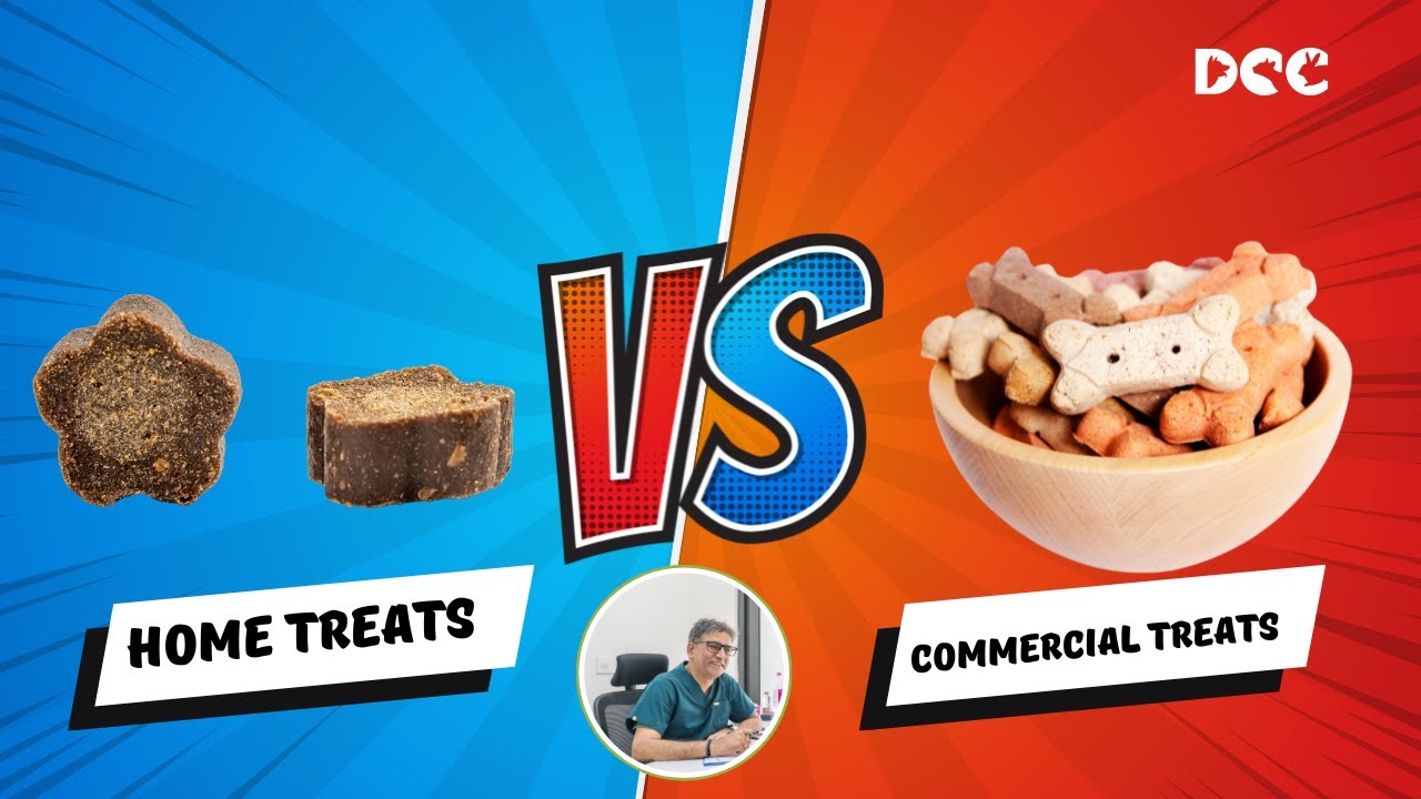 Commercial Treats vs Homemade Treats for pets : Dr. Vinod Sharma - YouTube