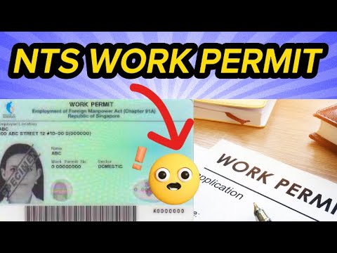 ️NTS Work Permit la salary Evlo 💰#inimaltherijchipom #singapore - YouTube