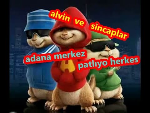 alvin ve sincaplar - adana merkez version