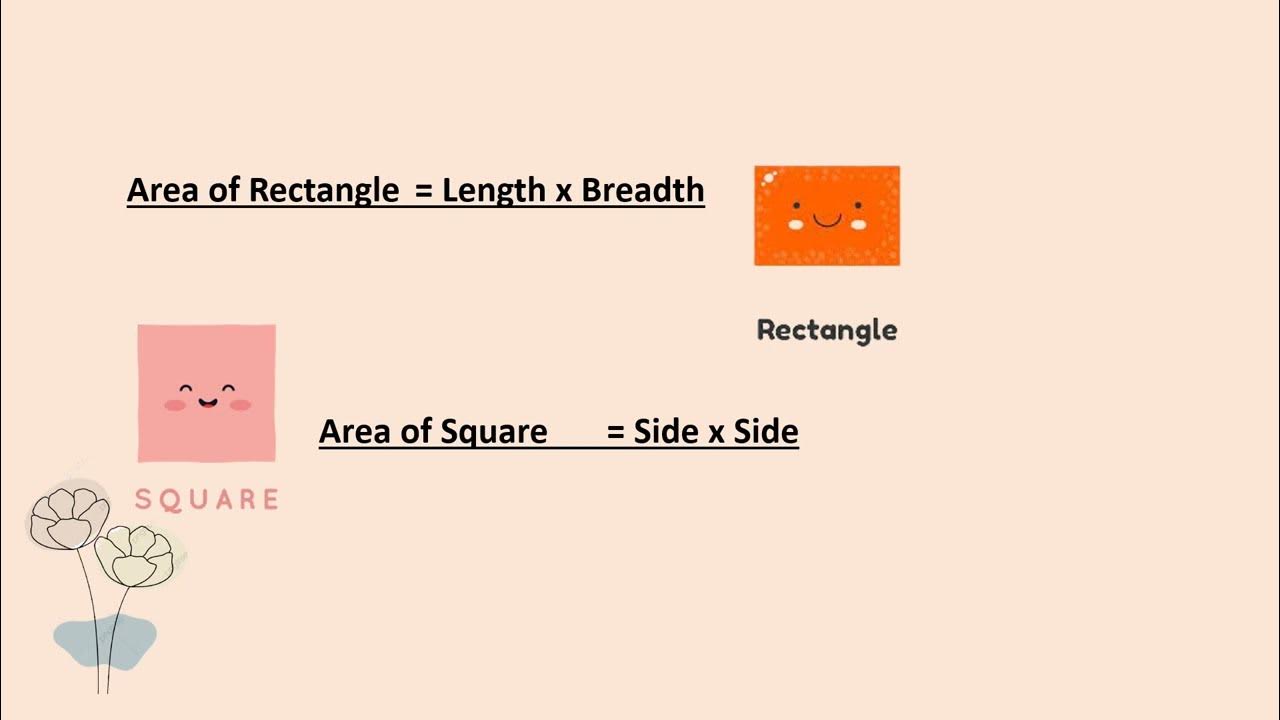 Area of Rectangle And Square - YouTube