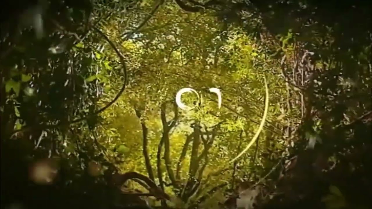 BBC ONE Ident 2006 Forest - YouTube
