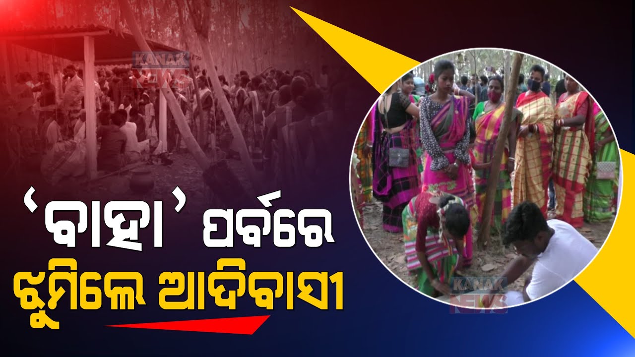 Uniqueness Of "Baha Parab" Festive At Rairangpur, Mayurbhanj District ...
