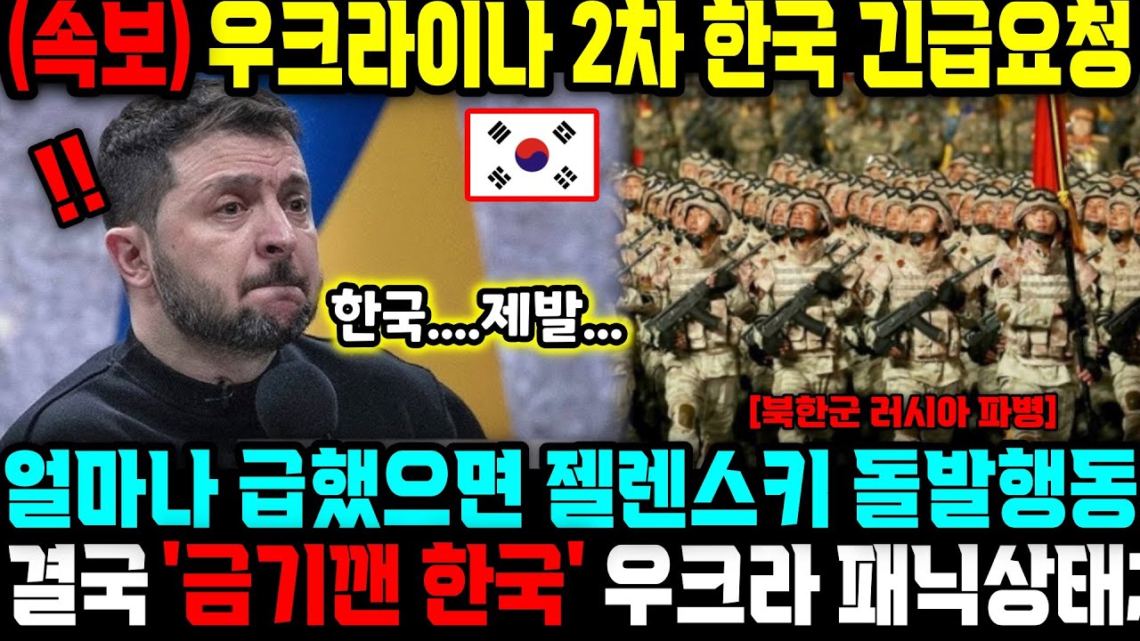 "제발...한국..." 우크라이나 국방부 결국 한국에 2차 긴급요청, 얼마나 급했으면 젤린스키 구걸하며 패닉상태온 대굴욕적인 ...