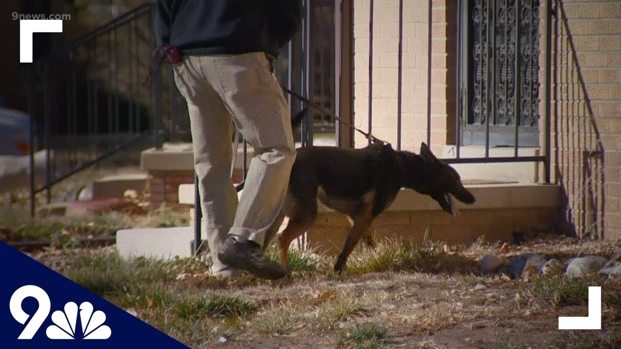 Police, FBI searching Aurora house in case of missing teen Lashaya ...