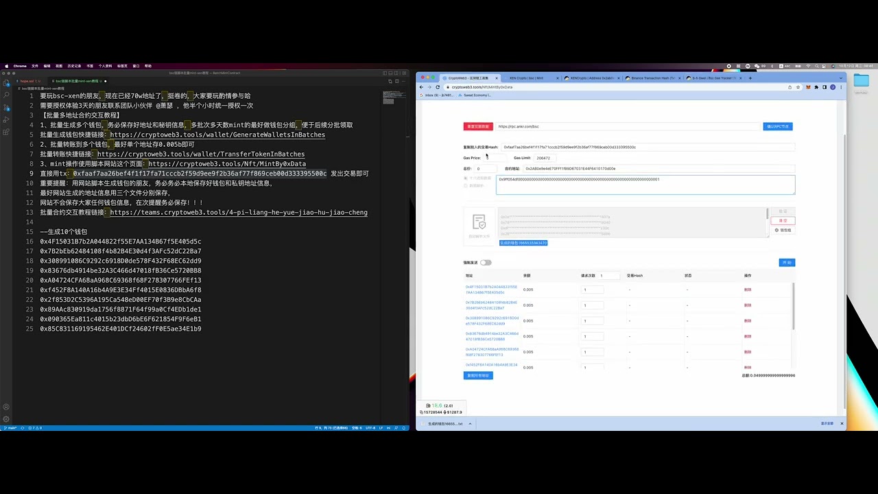 Bsc-Xen批量mint视频教程 - YouTube
