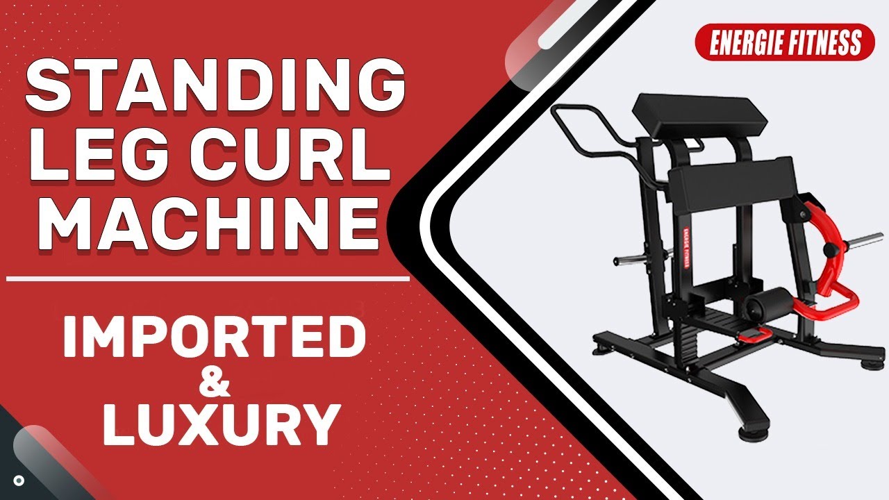 Best Standing Leg Curl Machine | How To Use Seated Leg Curl Machine | # ...