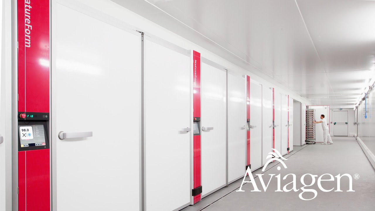 Aviagen France - Broiler GP Stock Hatchery - YouTube