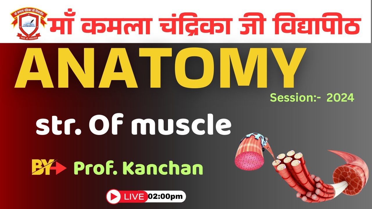 Anatomy Subject (str. Of muscle} intro By Prof. Kanchan | BPT Session ...