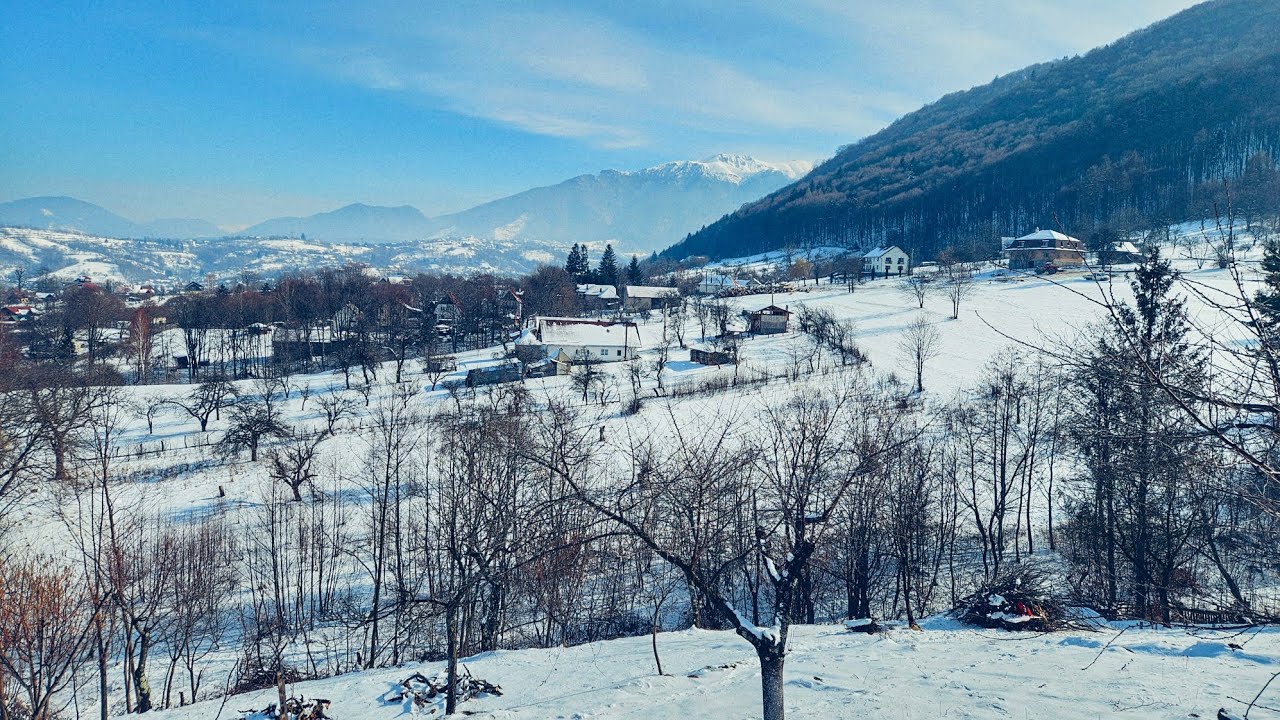 Dimineti de iarna Predelut Bran Brasov - YouTube