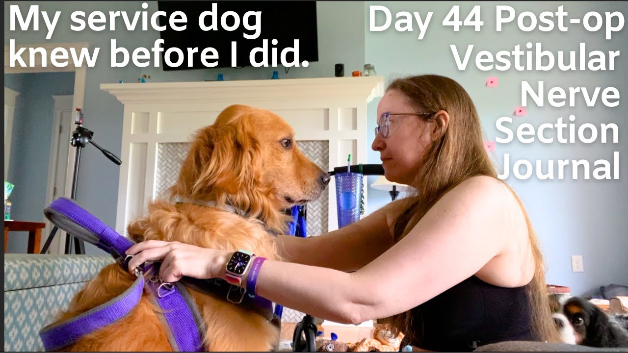 My service dog knew before I did -I wasn't ok | Day 44 Post-op ...