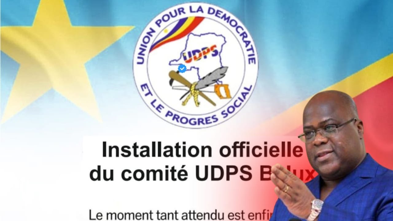 Installation officielle du comité UDPS BELUX - YouTube