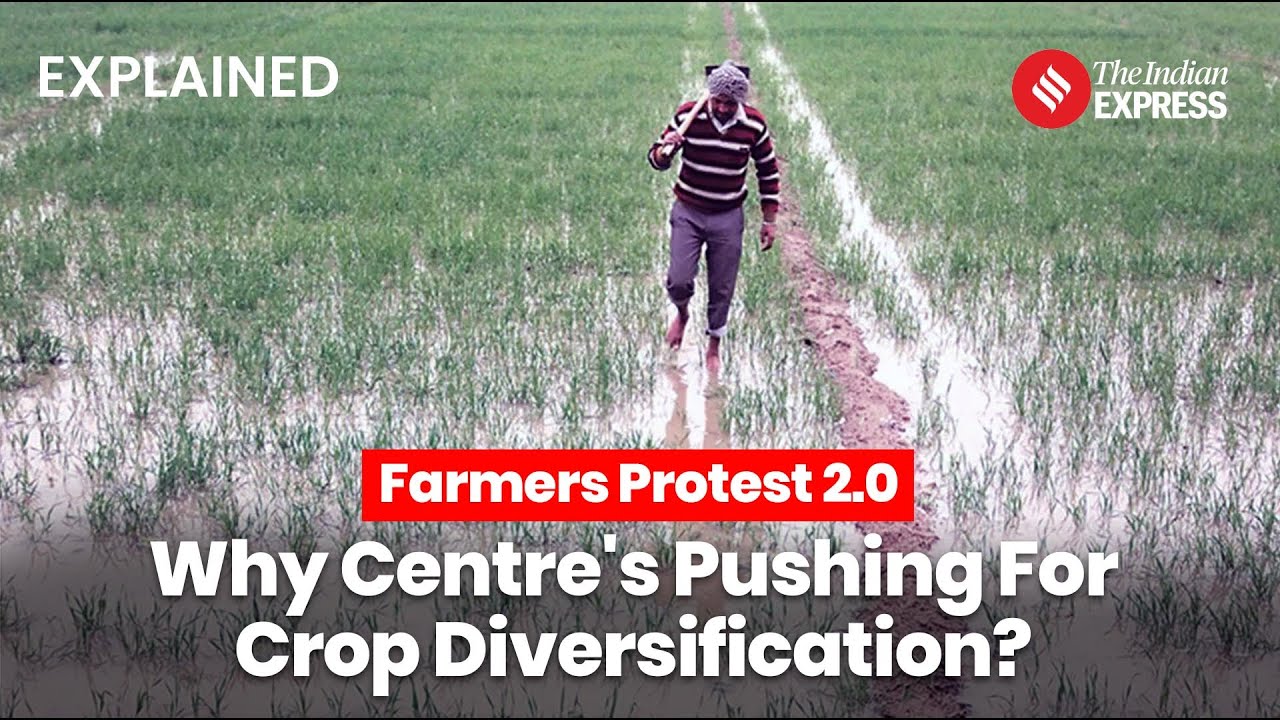 Farmers Protest Explained: Centre's Crop Diversification Proposal Faces ...