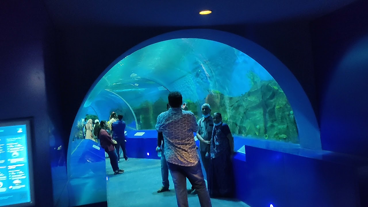 Aquatic Gallery , Science City, Ahmedabad - YouTube