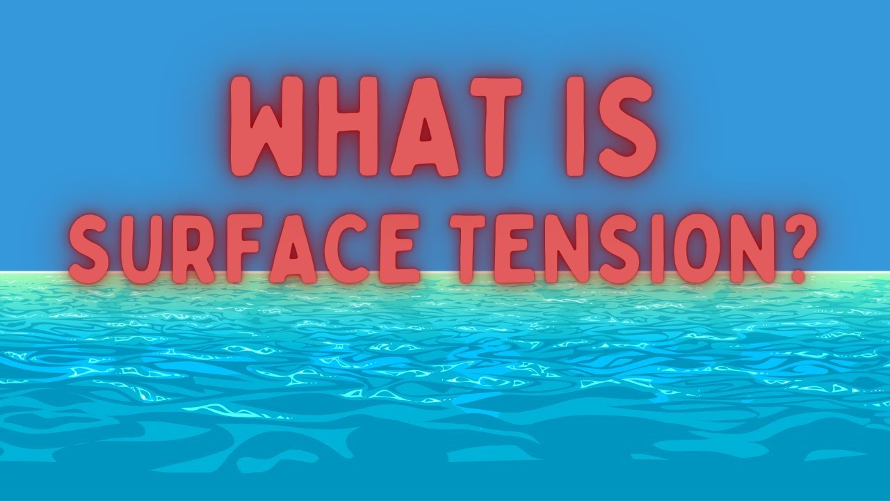 WHAT IS SURFACE TENSION? EXPLAINED - YouTube