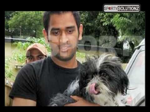 Virat Kohli with PYTHON - YouTube