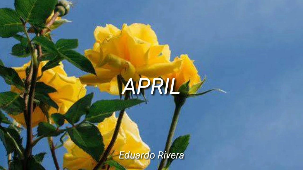 Beach Bunny - April (Sub. Esp) - YouTube