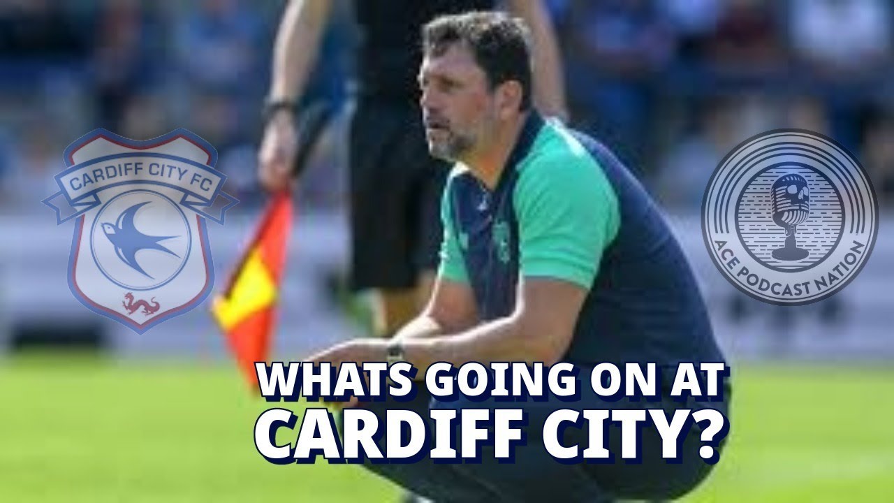 Cardiff City Memes