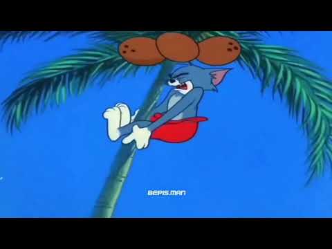 That guy got hit in the head with a coconut - YouTube