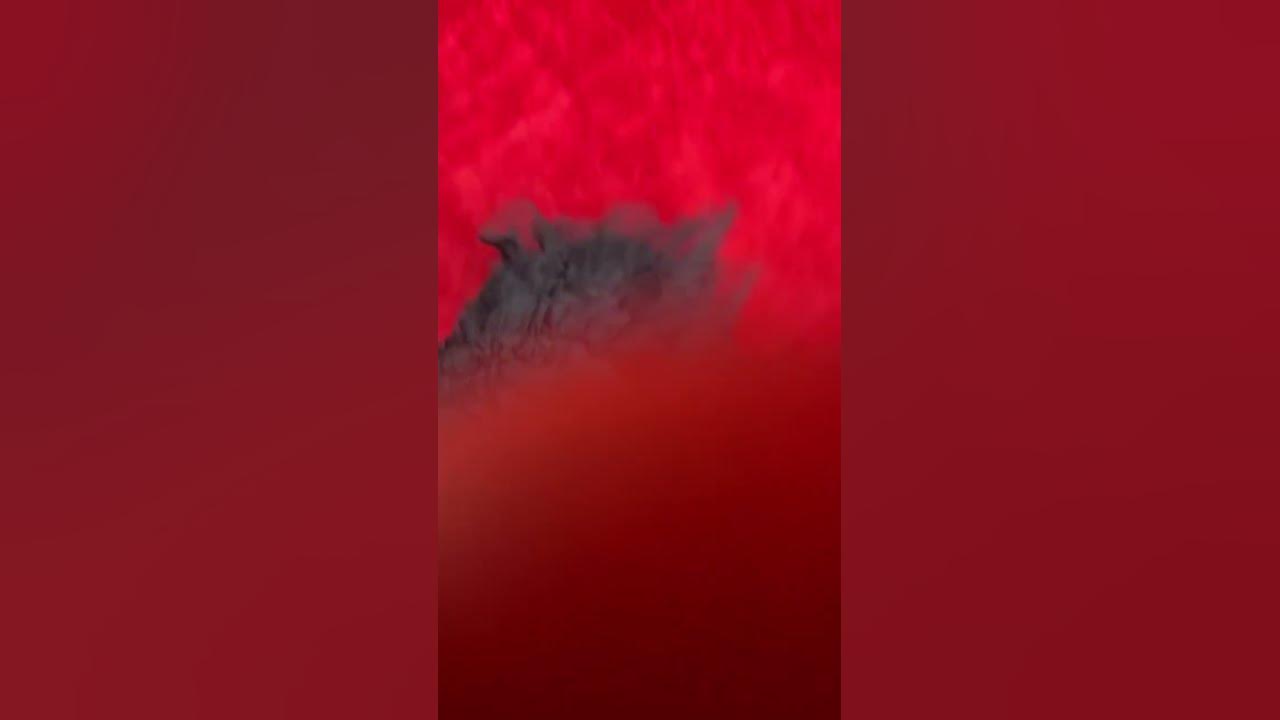 Becky via nichapat twitter 241212 - YouTube