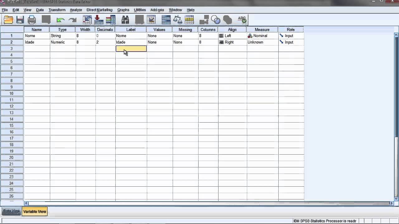 Introdução de dados no SPSS - YouTube