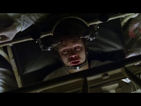 Кинологи. Лестница Иакова - YouTube