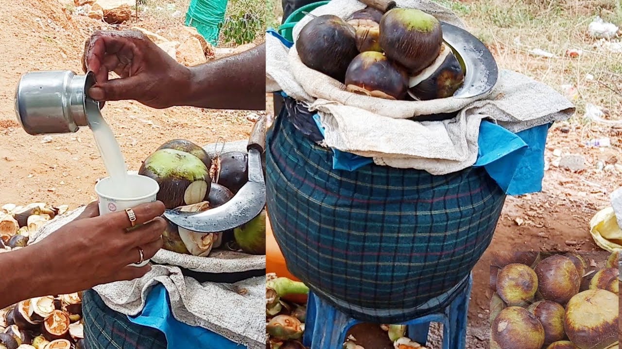 Neera drink /Palmyra fruit/Rockfort Foods - YouTube