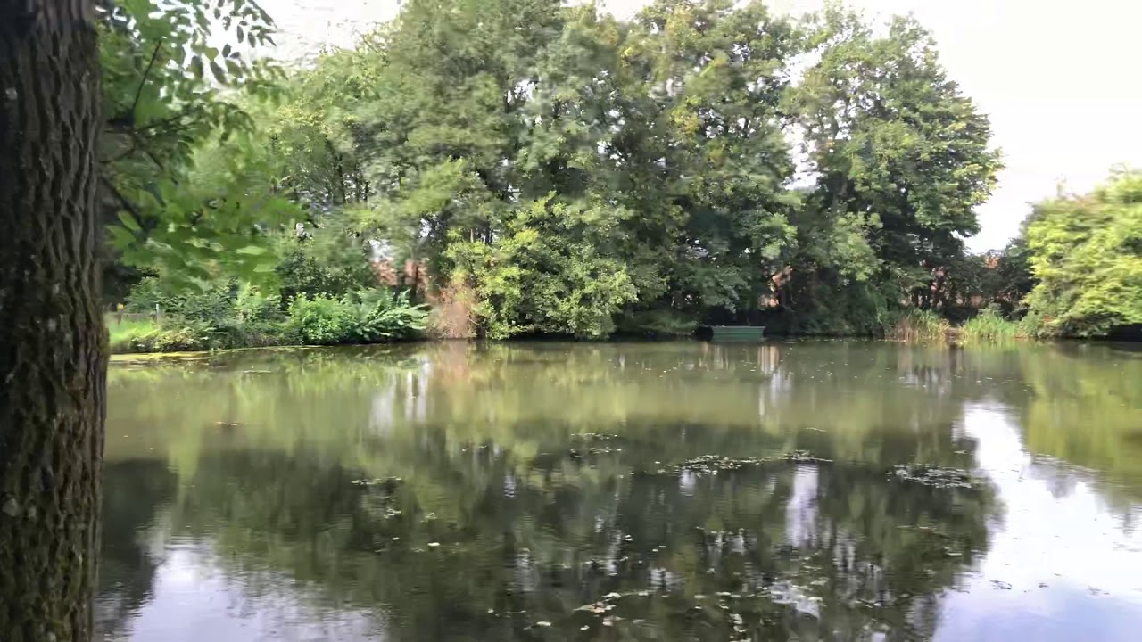 Redmire pool - YouTube