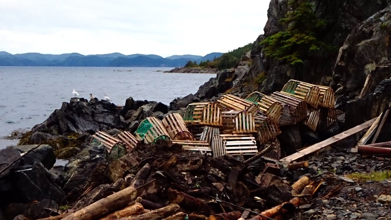 Leading Tickles, Newfoundland - YouTube