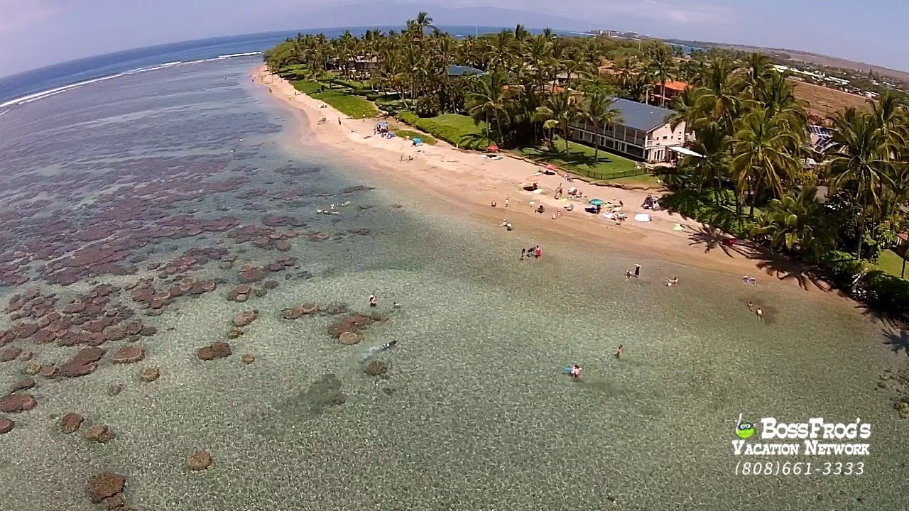 Hanging out at Baby Beach with Boss Frog's - YouTube