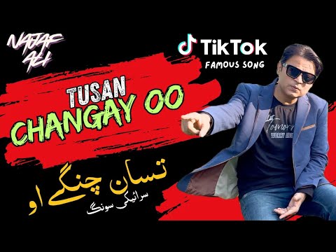 Tusan Changy O | Asi Mare Sarkar Tusi Change | Asi Marey Sarkar Tusi Changey Ho | Najaf Ali
