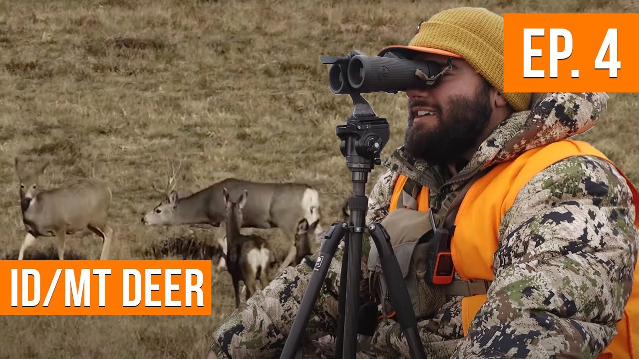 Hunting BUCKS on Private Land BORDERS | Western Deer Hunt (EP. 4) - YouTube
