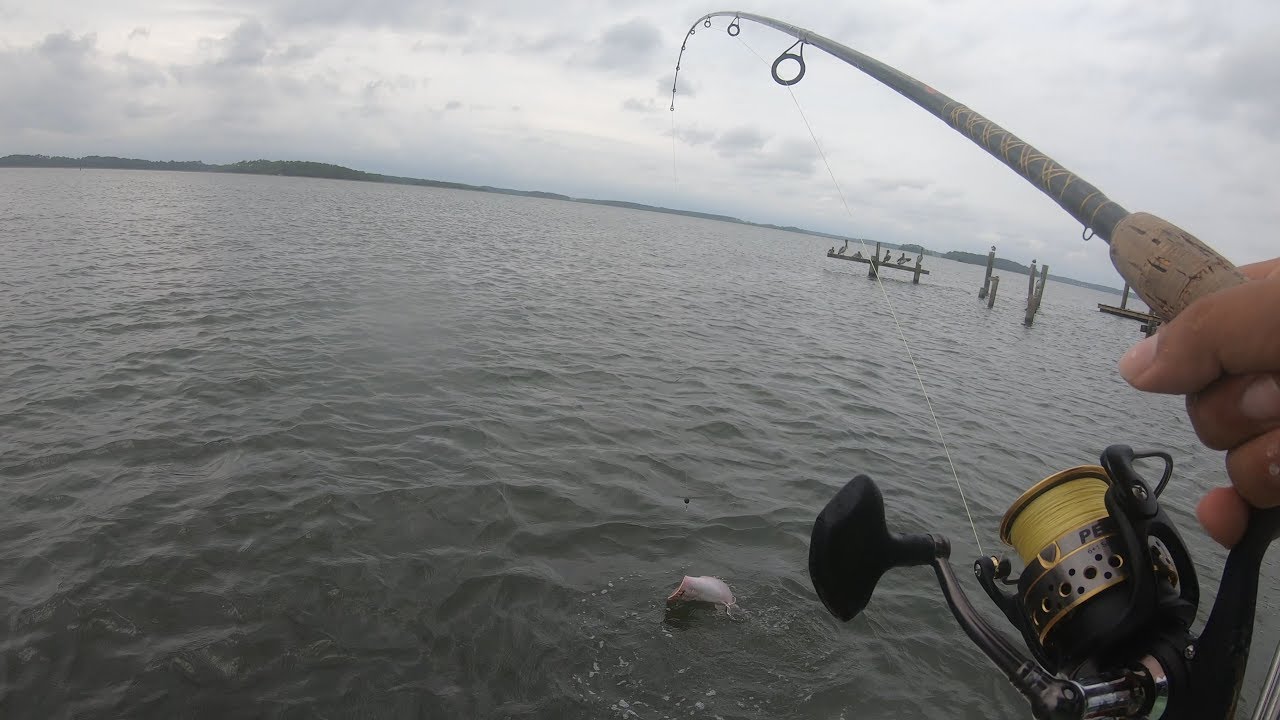 Rainy Day Fishing on the May River (Bluffton, South Carolina) - YouTube