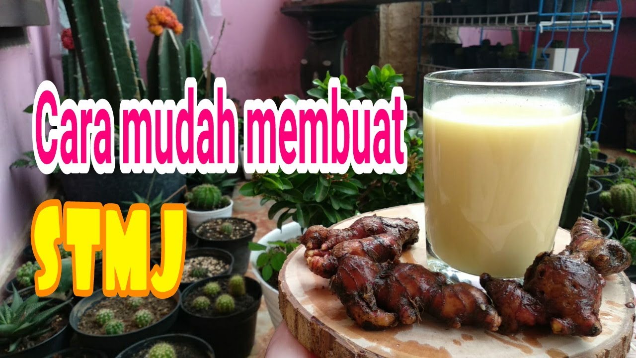 Cara Membuat STMJ / Membuat STMJ agar tidak amis / STMJ susu telur madu ...