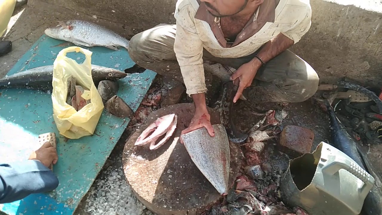 Fish master Ballu - YouTube