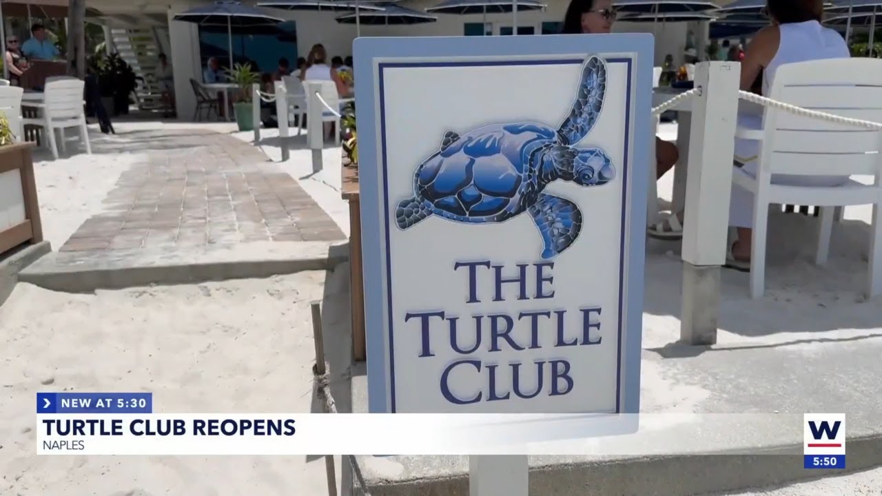 Turtle Club in Naples reopens - YouTube