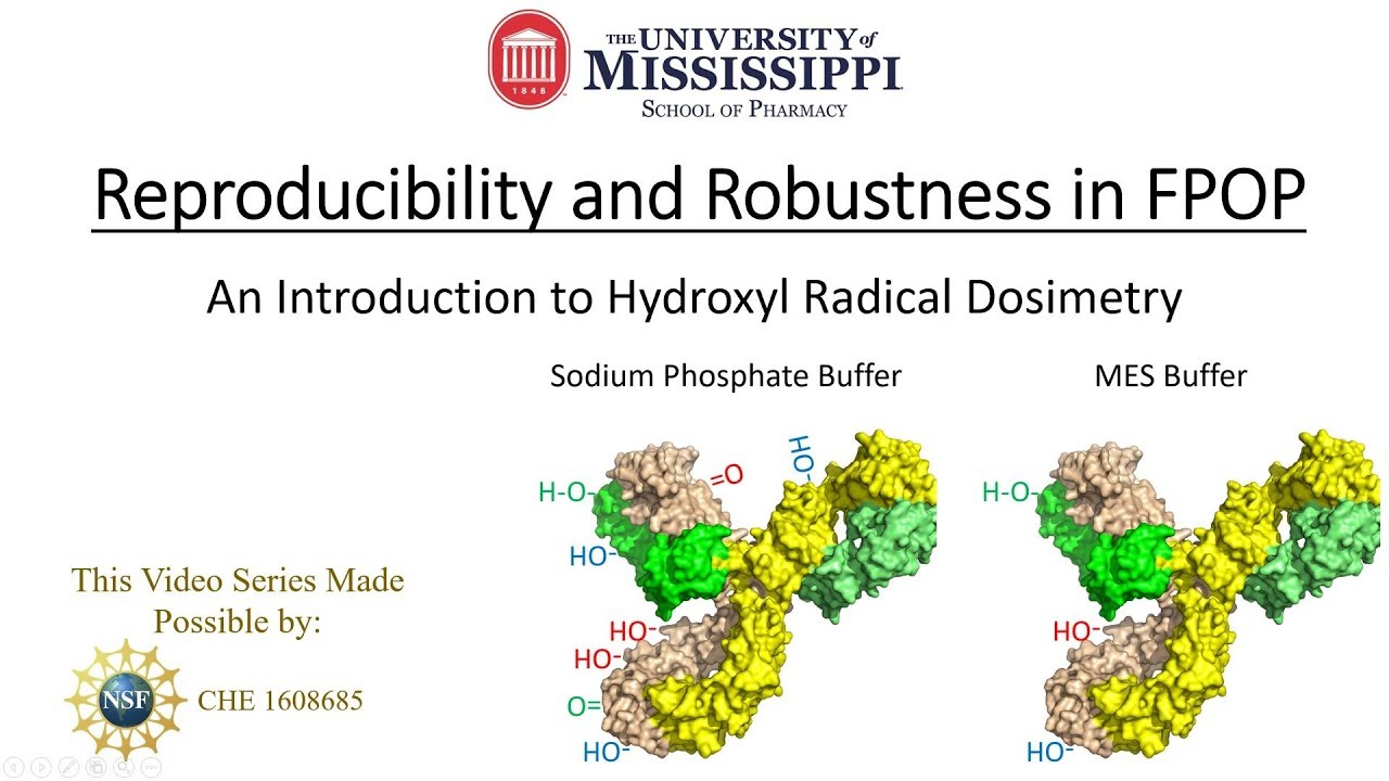 FPOP Tutorial Series: Reproducibility and Robustness in FPOP - YouTube