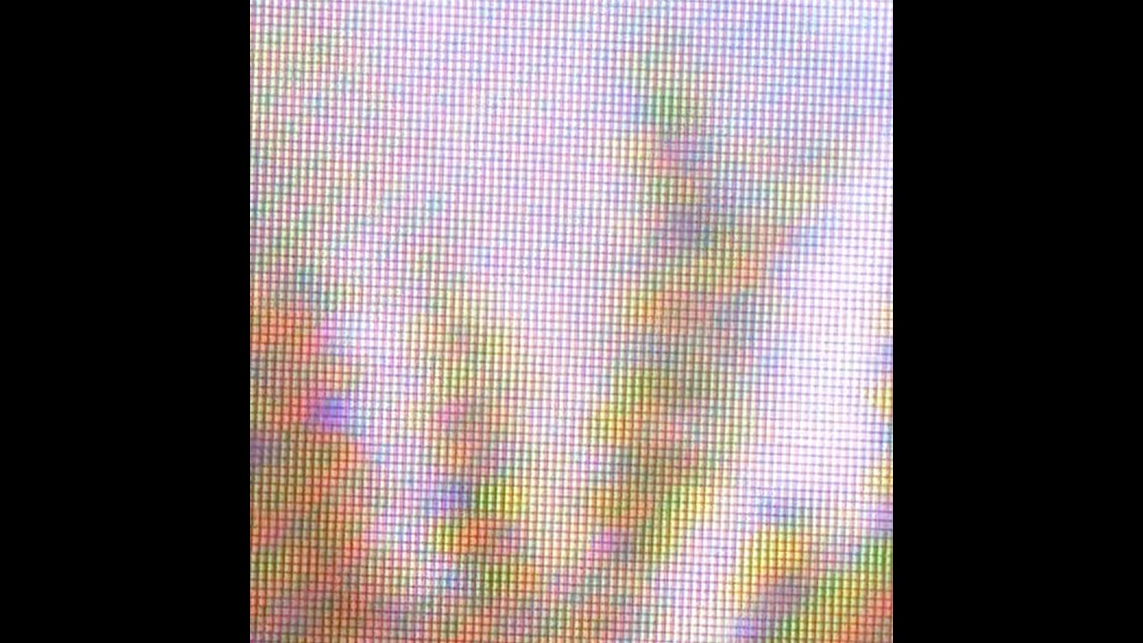 Dylan Gilbert - Whole New Life (Official Video) - YouTube