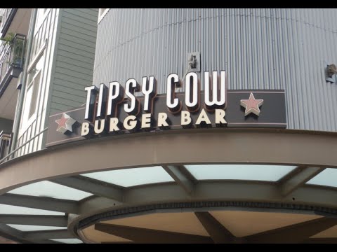 The Tipsy Cow Burger Bar - Redmond Wa. Local Eats - YouTube