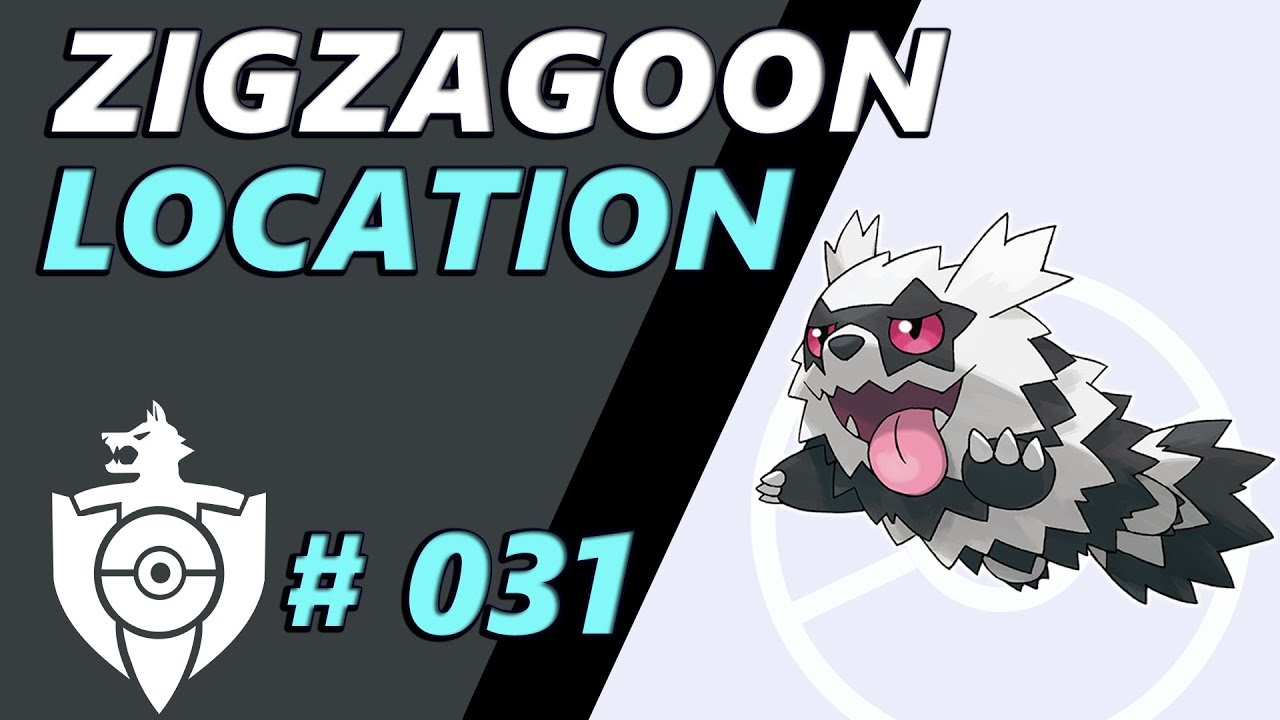 Pokemon Sword and Shield: How to Catch & Find Zigzagoon - YouTube